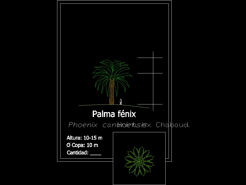 Phoenix canariensis in AutoCAD | CAD Download (22.18 KB) | Bibliocad