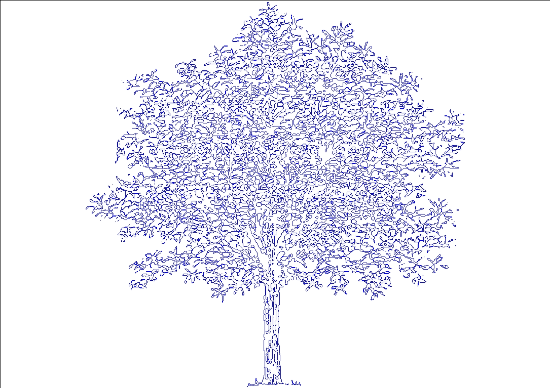 Magnolia em AutoCAD | Baixar CAD (249.48 KB) | Bibliocad