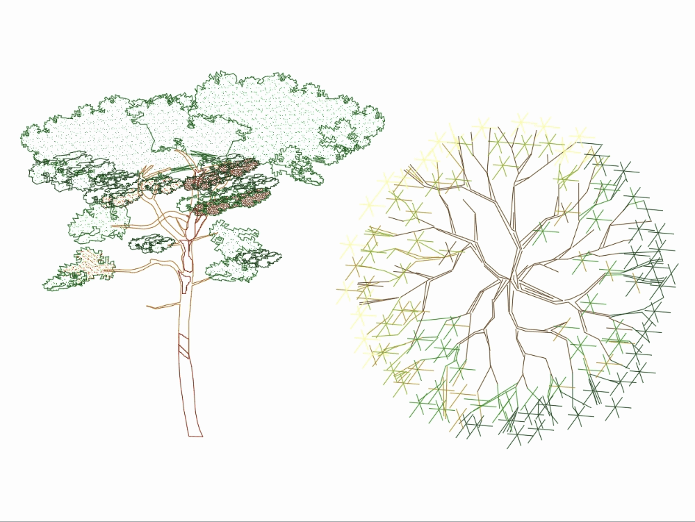 Arbol alzado y planta en AutoCAD | Descargar CAD gratis (186.86 KB ...