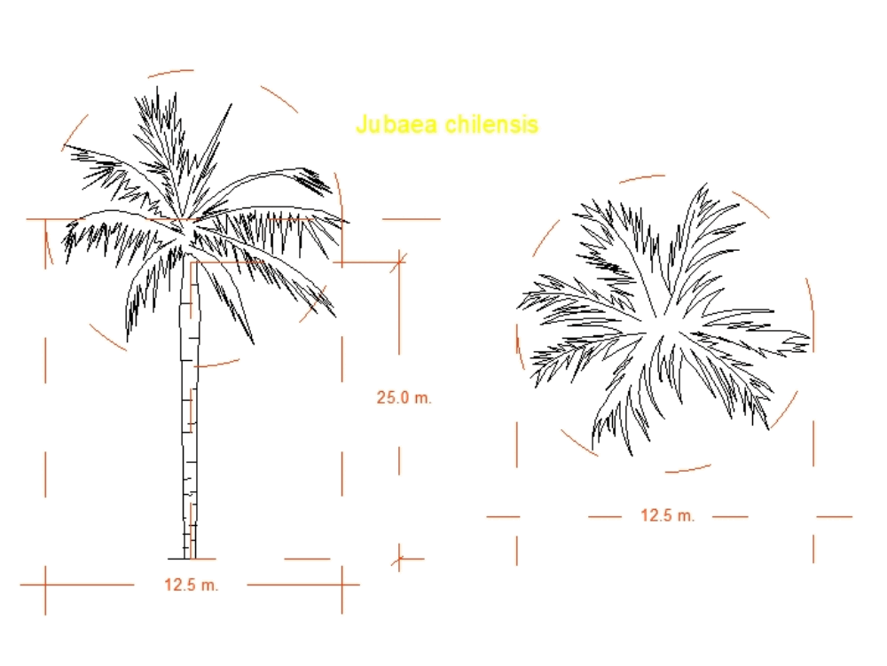 Blocks of two native species in AutoCAD | CAD (160.12 KB) | Bibliocad