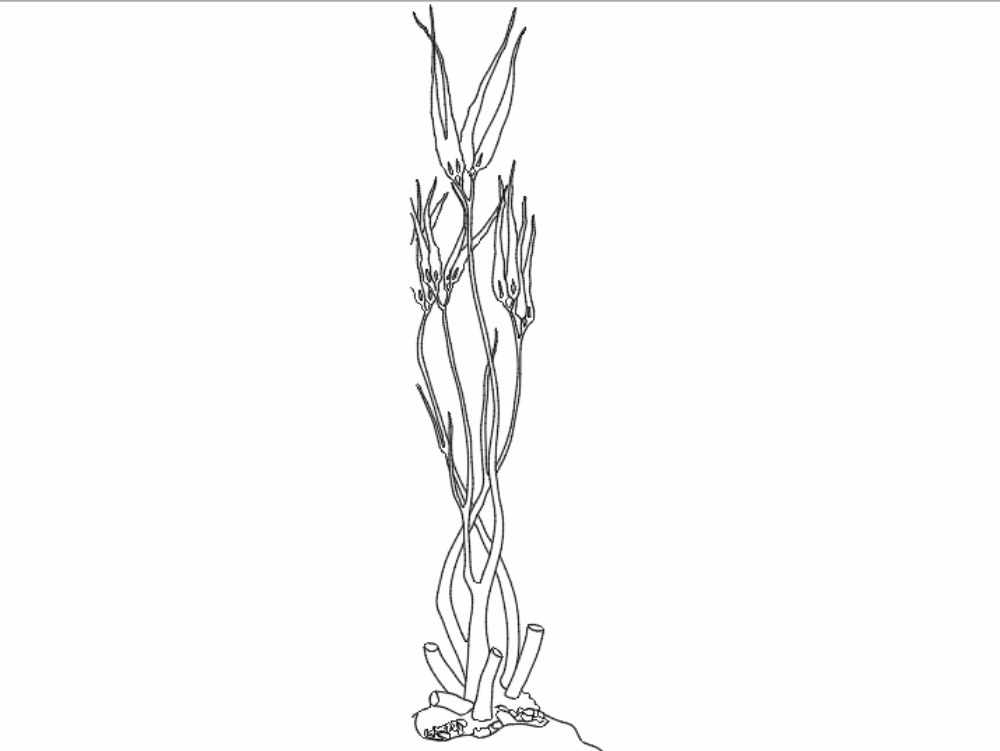 Alga em AutoCAD | Baixar CAD Grátis (40.48 KB) | Bibliocad