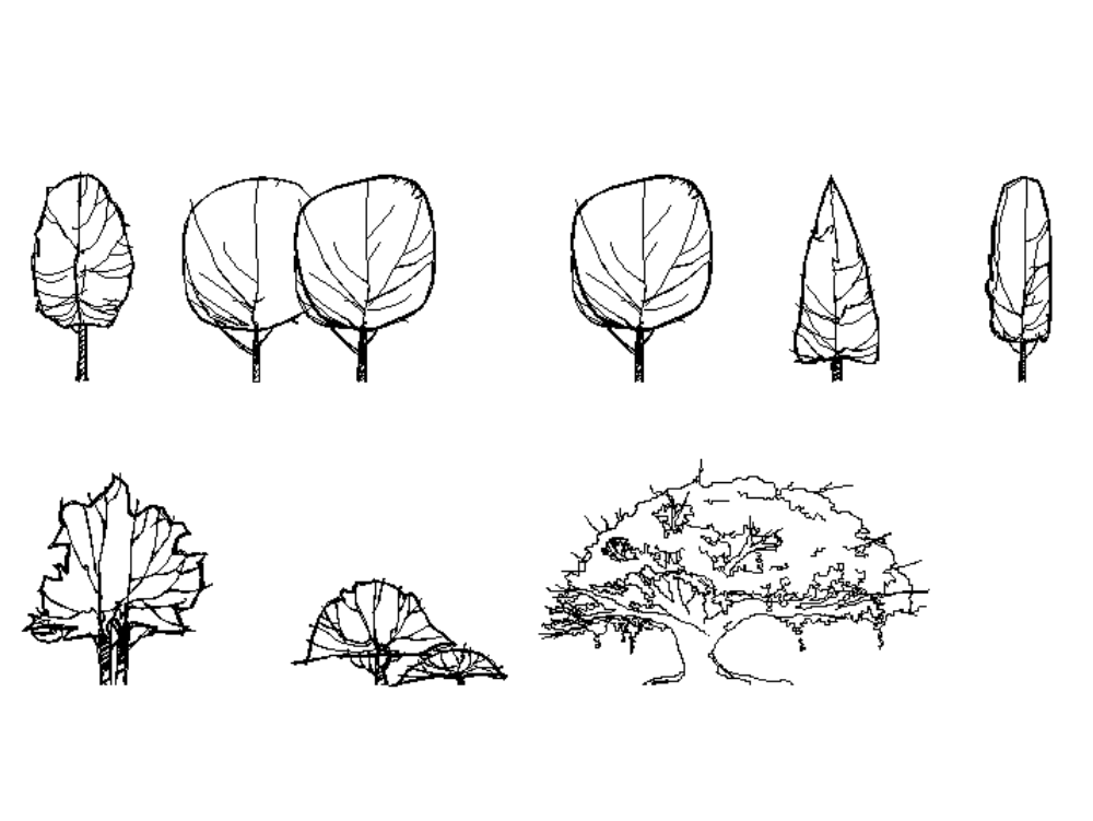 Trees in AutoCAD | Download CAD free (465.87 KB) | Bibliocad