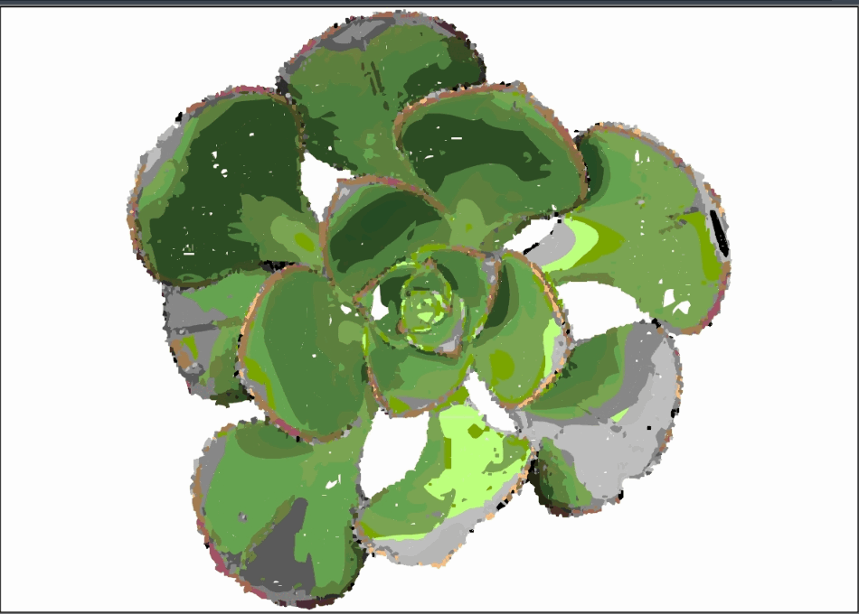 Aeonium en AutoCAD | Descargar CAD gratis (1.03 MB) | Bibliocad