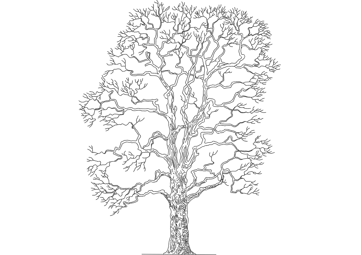Complex tree in AutoCAD | Download CAD free (326.56 KB) | Bibliocad