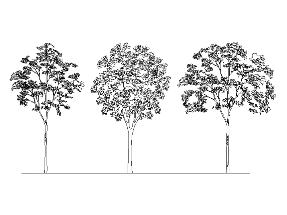 Trees in AutoCAD | Download CAD free (307.26 KB) | Bibliocad