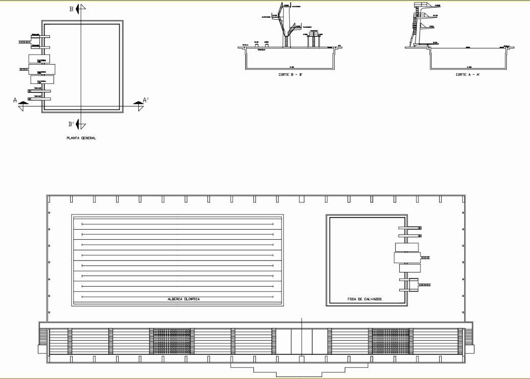 Olympic pool in AutoCAD | Download CAD free (29.79 KB) | Bibliocad