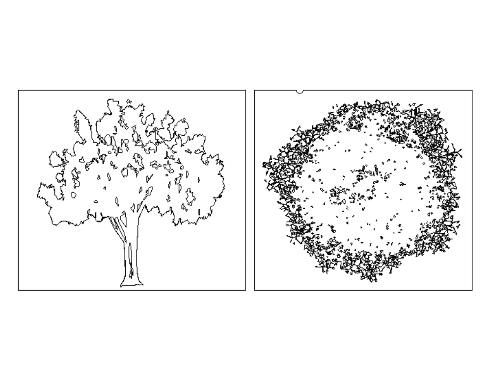 Arbre dans AutoCAD | Téléchargement CAD gratuit (1004.4 KB) | Bibliocad