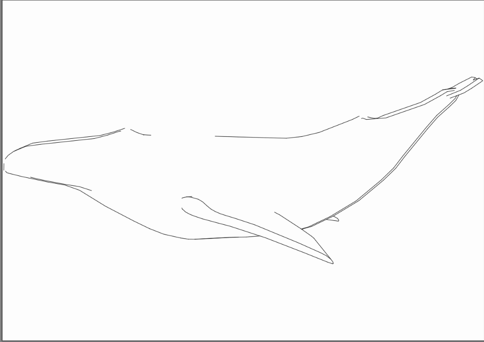 Whale 2d in AutoCAD | Download CAD free (19.13 KB) | Bibliocad