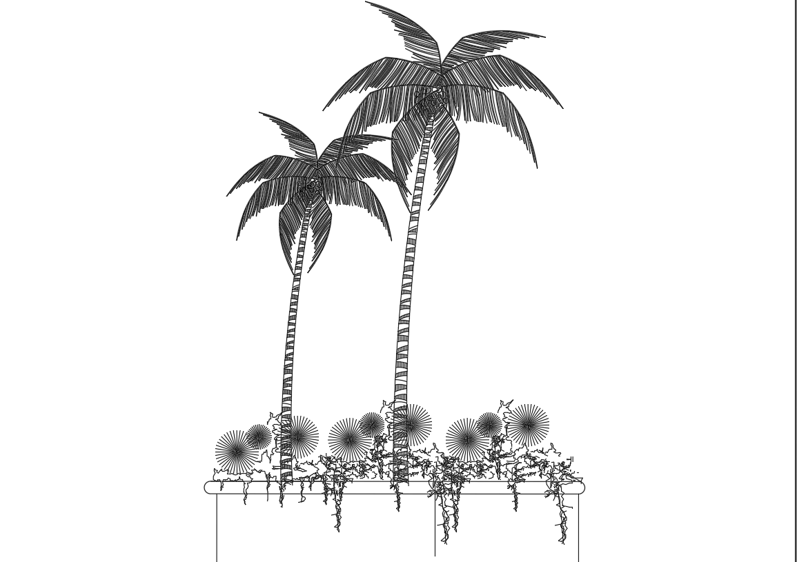 Palms in AutoCAD | Download CAD free (237.64 KB) | Bibliocad