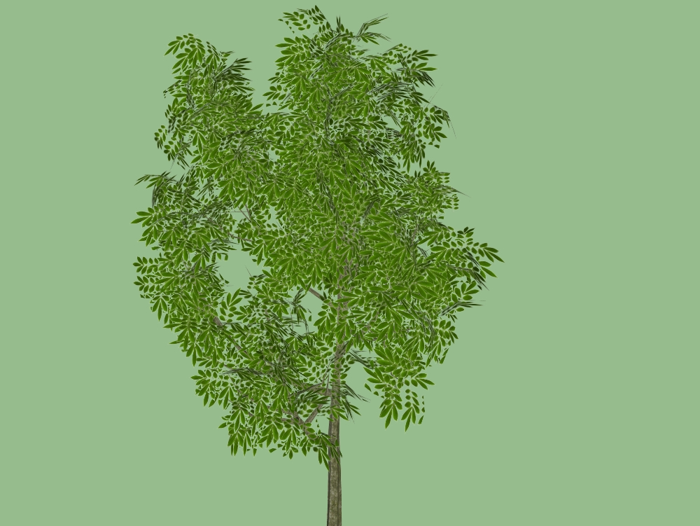 3d tree in SKP | Download CAD free (2.63 MB) | Bibliocad